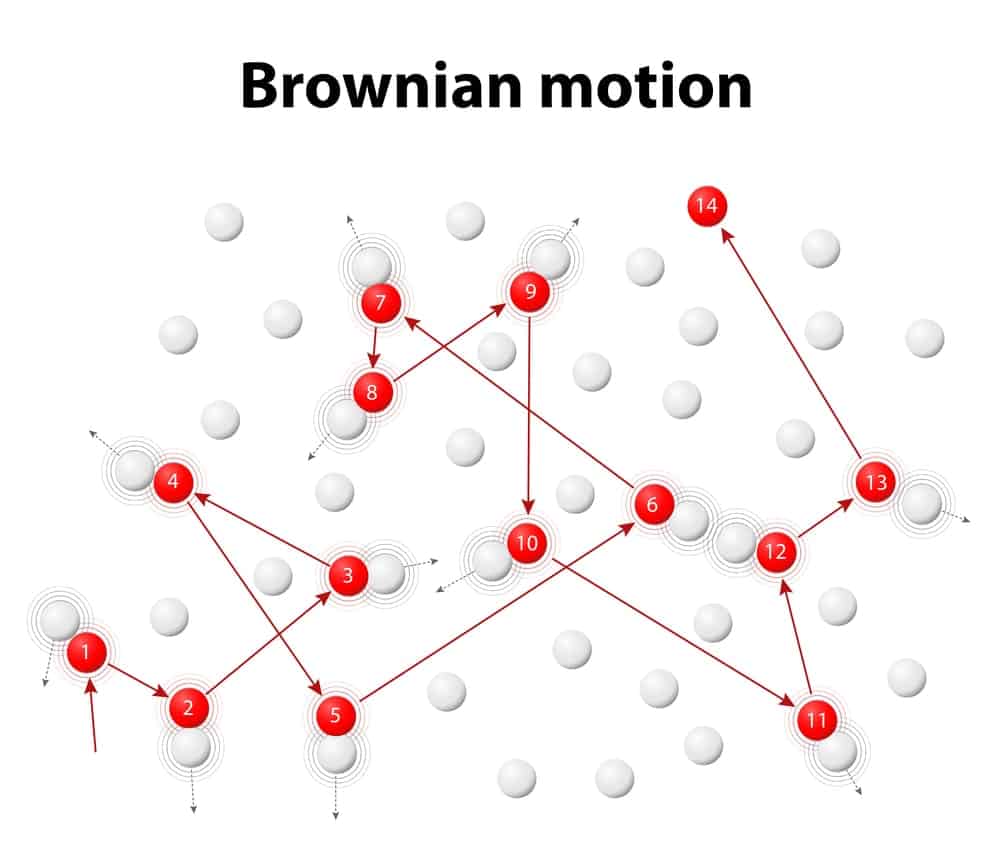 7 Different Types of Active Transport – PopOptiq