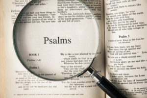 20 Different Types of Psalms