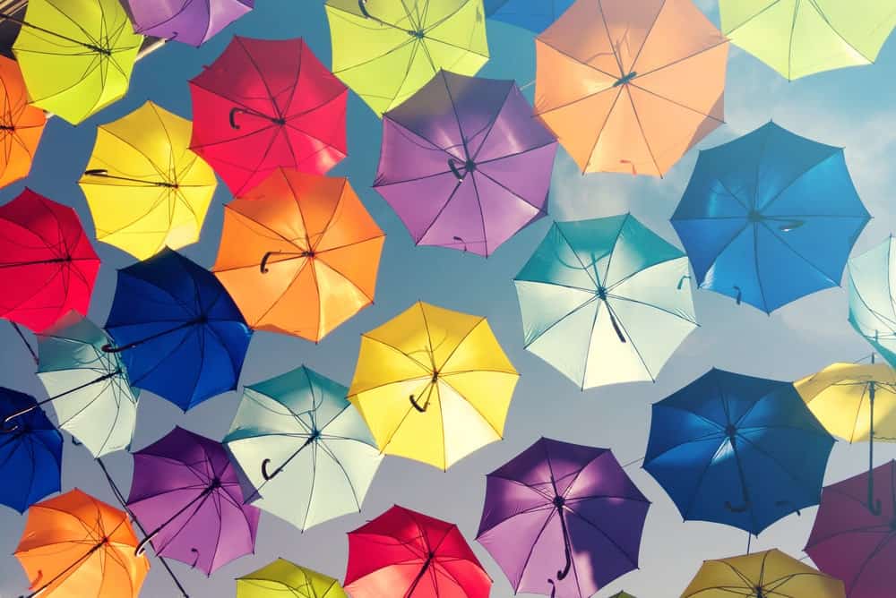 13 Different Types of Umbrellas 13 Different Types of Umbrellas