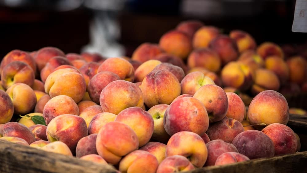 34 Different Types Of Peaches