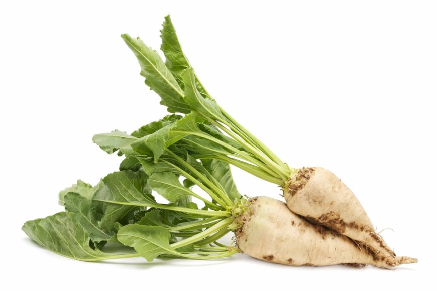 10 Different Types Of Beets