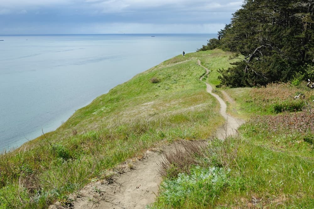 10 of the Best Hikes on Whidbey Island, WA